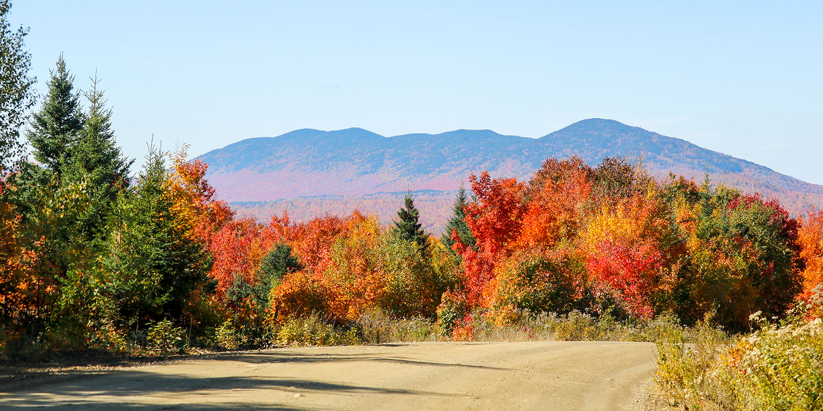 Quill Hill, Rangeley, Maine - Jay Gaulard