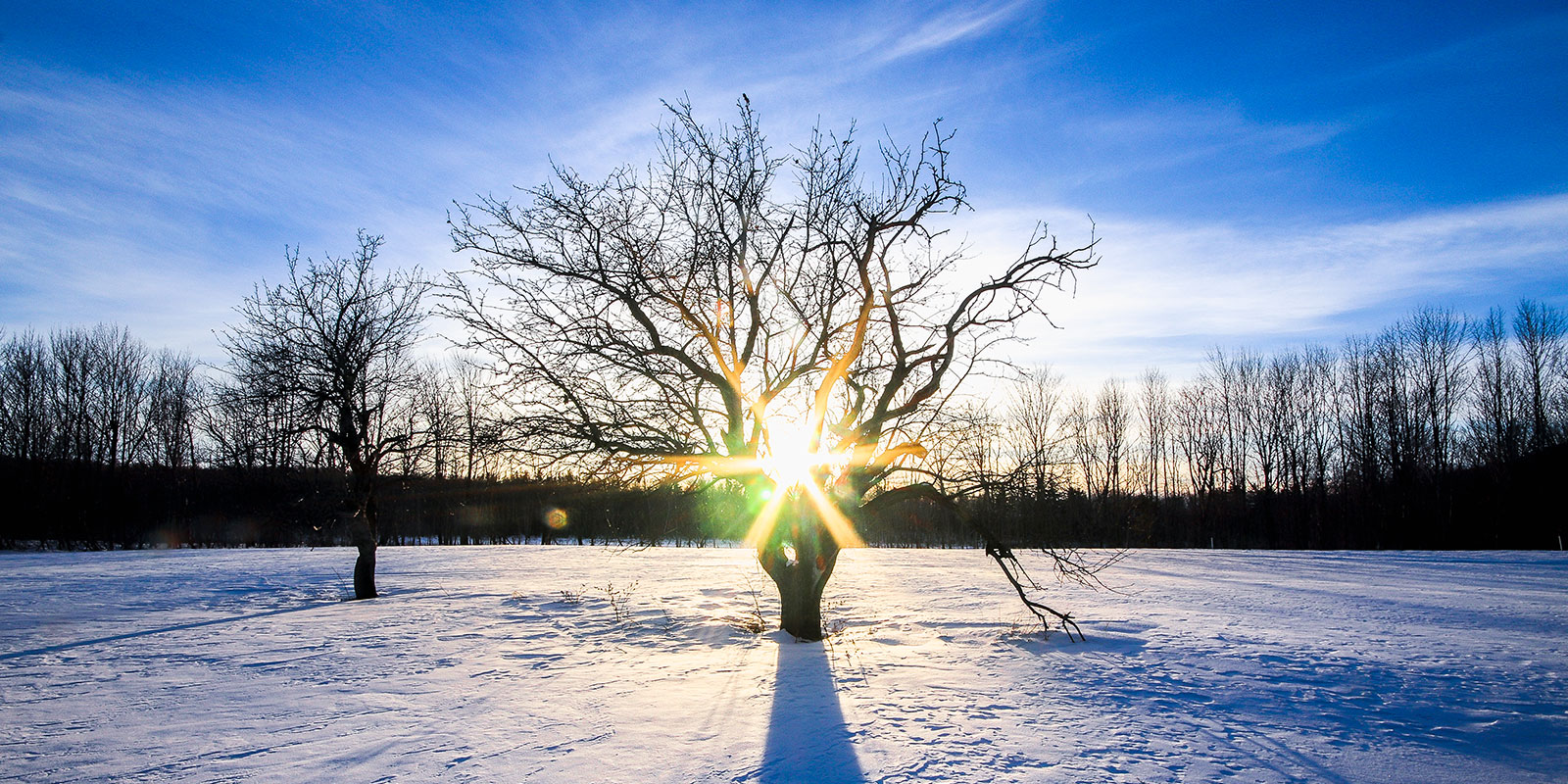 Gallery - Jay Gaulard